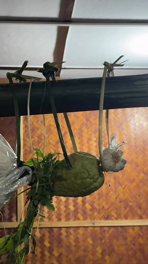 Adi tribe ritual of offering to departed soul after 5 days of dead. Everything is offer to departed soul .so, that he / she may not hungry in his/ her path🙏 | Jonathan Obit Tali