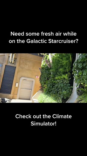 Need some fresh air while on the Star Wars Galactic Starcruiser? Check out the Climate Simulator !