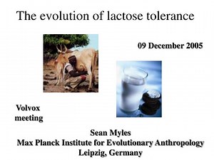 The evolution of lactose tolerance - SlideServe
