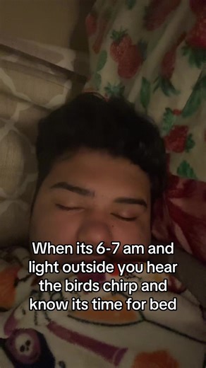 Peaceful Morning Sounds: Chirping Birds at Dawn