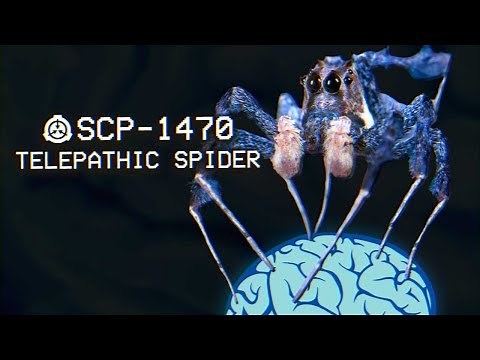 SCP-1470 - Telepathic Spider : Object Class - Neutralized : Arachnid SCP