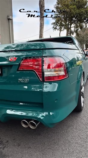 Car Chic Media | UNIQUE MALOO R8 💯🇦🇺#maloo #r8 #viral #aussie #carchicmedia #stance #northerngal #last | Instagram