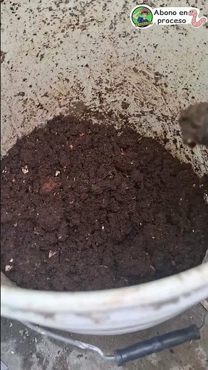 Poposta Accelerator: How to Compost Dog Poop Without Failing