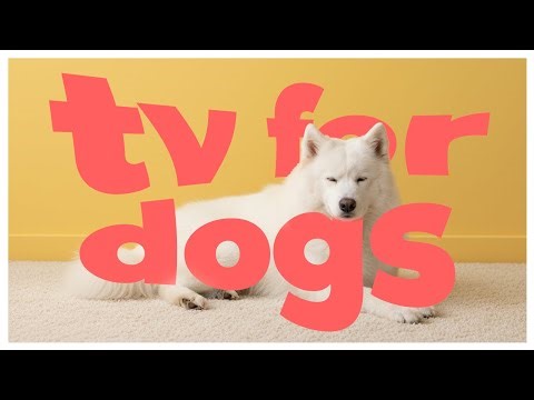 TV For Dogs | Calming Visuals & Relaxing Music for Dogs | Anxiety Relief & Comfort