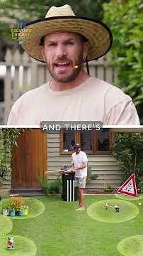 Backyard Cricket Masterclass: How to Set The Field