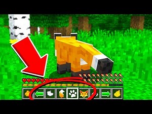 PLAY MINECRAFT 1.14 AS A FOX!