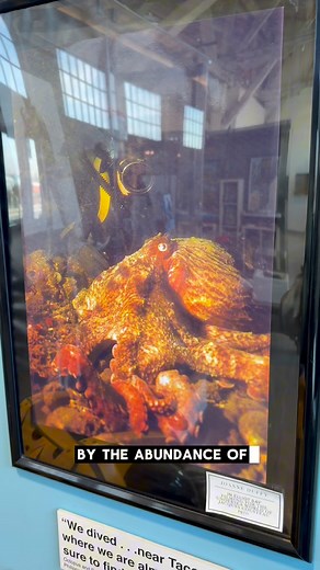 Do you know about Tacoma‘s connection to Jacques Cousteau? There’s a pretty significant amount of history here, certainly enough to do a deep dive on. ￼#wa #washington #history #tacoma #JacquesCousteau | Pretty Gritty Tours