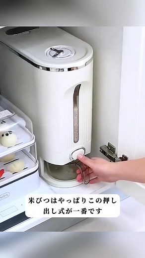 おしゃれな米びつを見つけました #tiktok #実用的 #収納 #厨房 #米