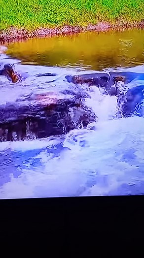 João Neto mestre obra no TikTok