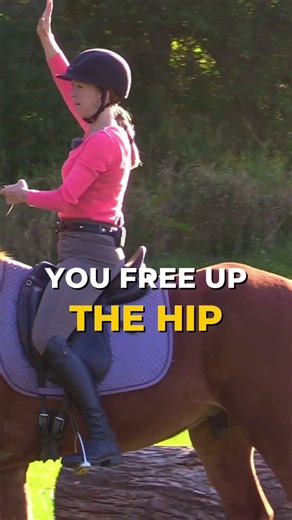 Master the Canter for Smoother Connection