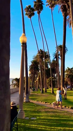 Palisades. California