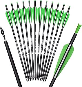 Carbon Crossbow Bolts 20 Inch Hunting Archery Crossbow Arrows with 4" Vanes Replaced Arrowhead Brodhead Tip 12PCS Pack