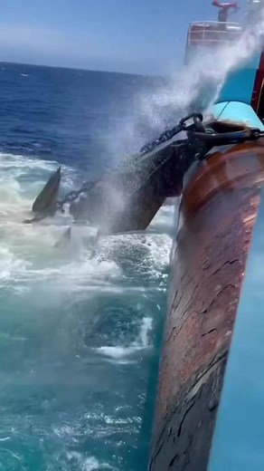 Retrieving wet 20 ton anchor #anchor #machine #viral | Animal Traps