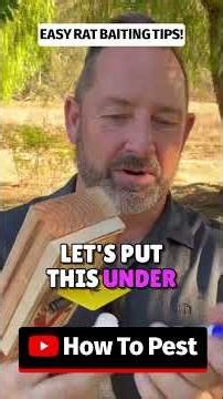 The Ultimate Rat Baiting Hack!