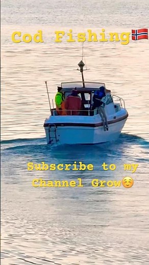 The Epic Cod Fishing Season in Norway
