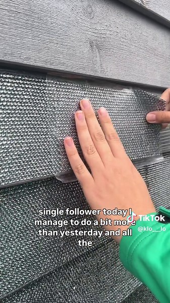 Covering My House in Rhinestones for Christmas