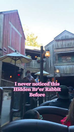Disney Imagineers think of everything. #brerrabbit #splashmountain #disneyhiddendetail #disneydetails
