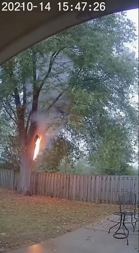 Lightning Strikes a Tree in Seconds | Caught on Camera