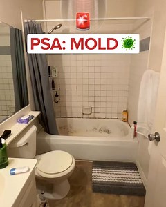  Imagine a world where mold isn’t just an unsightly nuisance — it’s...