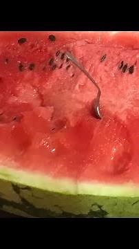 54 lb Georgia rattlesnake watermelon!! ￼