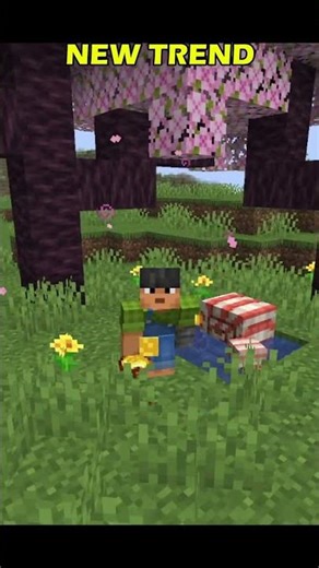 Poi poi of Notch ❤️‍🩹 is so cute 🥰💖 #cute #viral #minecraft #edit #memes #minecraftmemes #funny