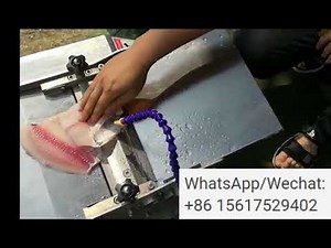 stainless steel fish fillet machine Tilapia skin peeling machine fish skin removing machine