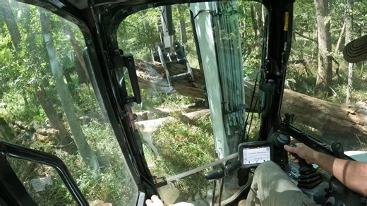 Bobcat E42 R2 series mini excavator: Clearing an access trail through the woods
