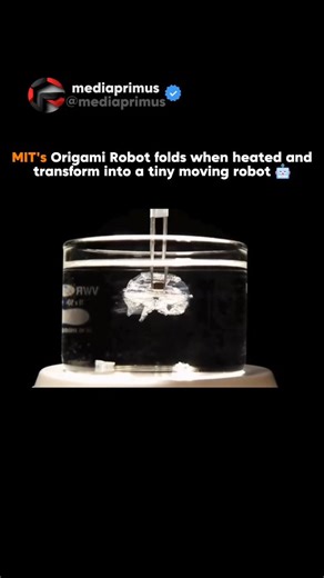 Primus Media | MIT’s Origami (Oregano) Robot is a tiny, self-folding robot inspired by origami that can transform from a flat sheet into a 3D walking... | Instagram