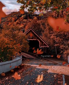 174K views · 46K reactions | There are only 75 days until Autumn/Fall! 﫶李️⛈️✨ | Magical Halloween | Facebook