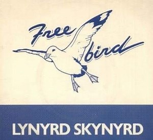 Hey y'all 🤠🎶 From 1977, FreeBird UK MCA Records 7"vinyl single B side"Gimme Three Steps" | Southern'n'Country Roll
