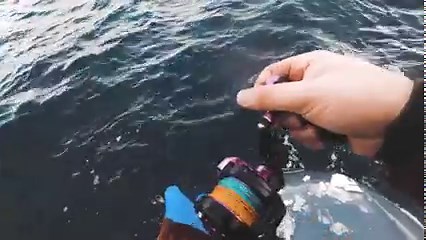 6.7K views · 83 reactions | Cod Fishing at Sørøya- yes it is big! | Big Fish Adventure | Facebook