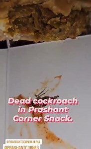 19K views · 36 reactions | Dead cockroach in Prashant Corner Snack....