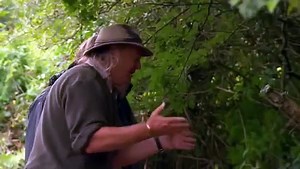 12. Time Team S17-E12 Dinmore Hill