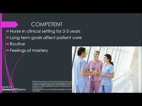 Patricia Benner: Novice to Expert