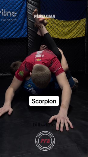 Your body won’t forget this.#scorpion #submission #diafragma