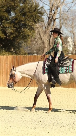 The Power and Presence of Huck: A Perfect Roan Stallion