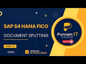 SAP S4 HANA FICO Document splitting Configuration Class 14
