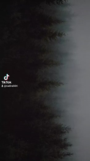 Talib Ali (@talibali076)’s videos with original sound - Talib Ali