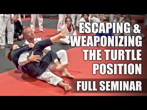 Escaping & Weaponizing The Turtle & Other Bottom Positions - Full Seminar