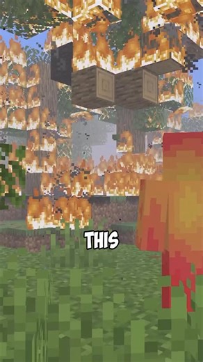 @imfireydude on Instagram: "this mod improves fire... | mod - Inferno by MoriyaShiine #minecraft #minecraftmods"