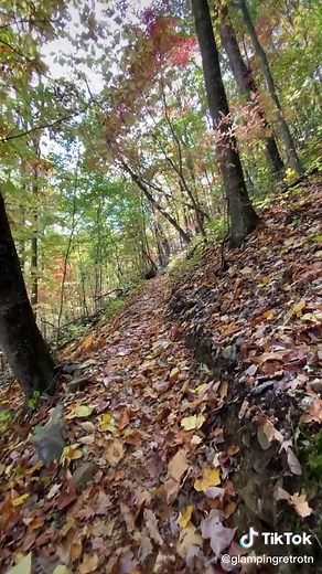 Beautiful hike with 360 degree views of the Blue Ridge Mountains. Lamar Alexander Rocky Fork State Park is a short 15-minute drive from @glampingretrotn ⛰ 📍Whitehouse Cliff Trail ⛰ 2mi out & back 🐶 Pet-friendly 🥾 Hard intensity (steep incline) ** Remember to leave no trace ** . . . #tnstateparks #glampingretro #tennessee #blueridgemountains #appalachianmountains #northcarolina #mountain #hiking #hikingadventures #glamping #rockyforkstatepark #tennesseestateparks #statepark #girlswhotravel #le