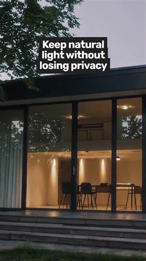 Modern Window Privacy Solutions Explored
