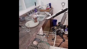 BostonDynamics' Robots Are Great | Quantum World: Awaken Your Mind