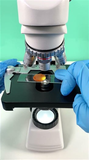 pasta sauce under the microscope 🔬 | #short #fastfood