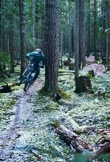 Insane Tree Tap! Epic MTB Downhill Moment