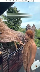 Girl's Wild Jungle Elevator Ride! 🌿 #shortsvideo