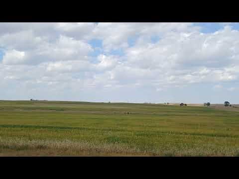 Resident Evil 4 (GCN) Professional Part 1