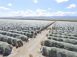 [Hot Item] Custom PE Hail Net Hail Protection Net