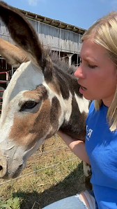 631K views · 31K reactions | Is Hank ready to retire? | Clutch of Color LLC | Facebook