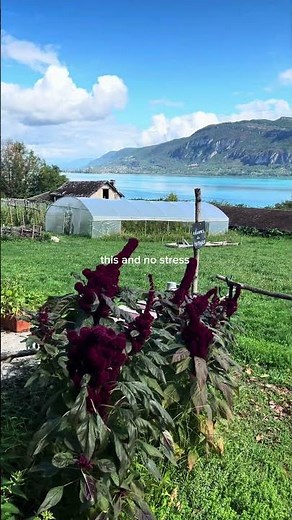Vue à couper le souffle sur le Lac du Bourget 💙✨ #savoie #paysage #travel #auvergnerhônealpes